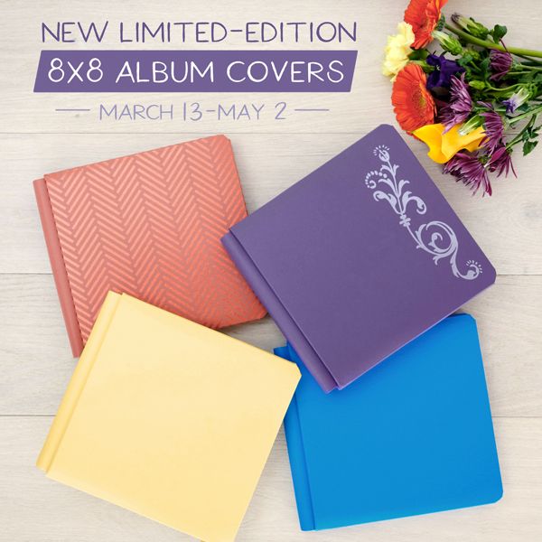 Limited Edition 8x8 Album Covers